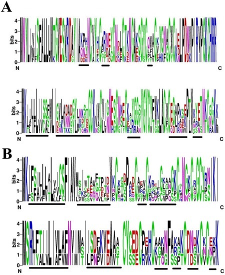 A Combinational Strategy upon RNA Sequencing and Peptidomics Unravels a ...