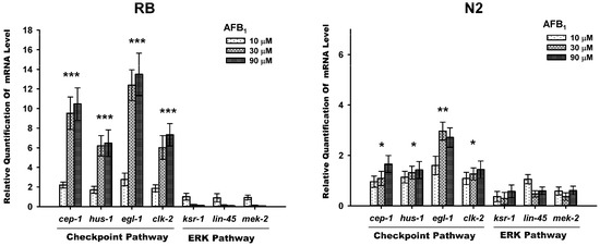 Aflatoxin B1-Induced Developmental and DNA Damage in Caenorhabditis elegans