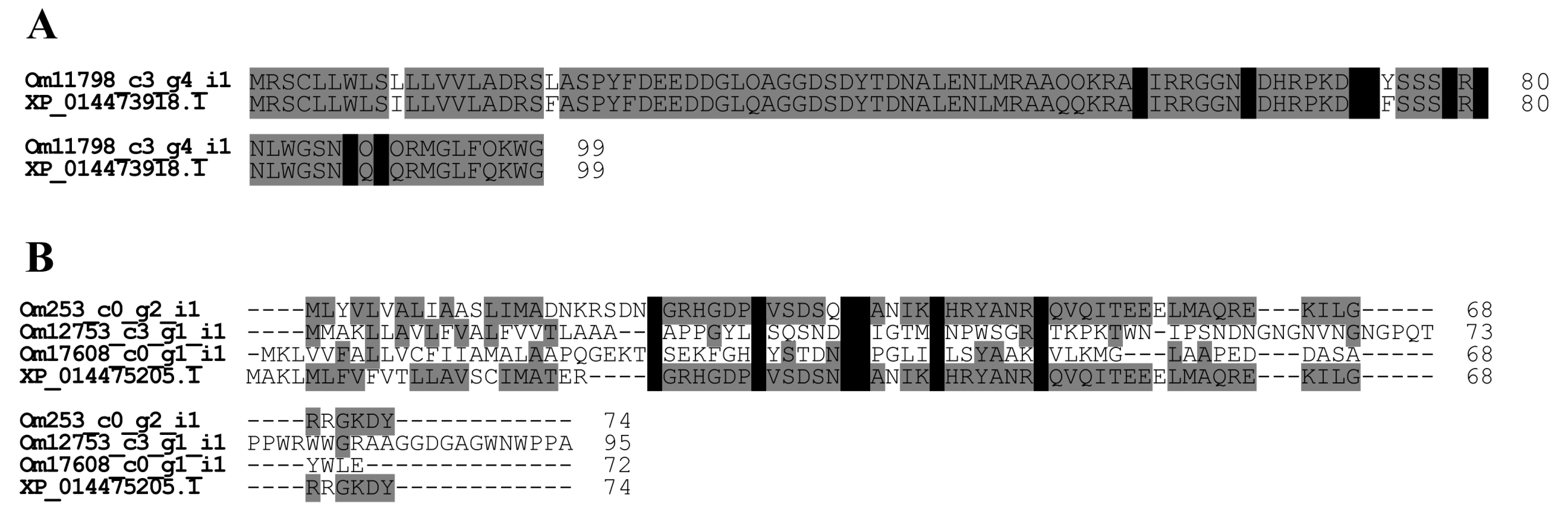 Toxins Free Full Text Combined Venom Gland Transcriptomic And Venom