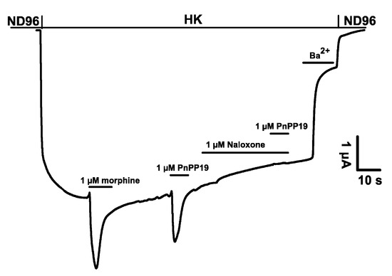 Toxins | Free Full-Text | The Peptide PnPP-19, a Spider Toxin ...
