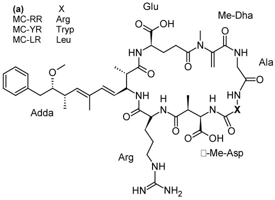 Solid Phase Adsorption Toxin Tracking (SPATT) Technology for the ...