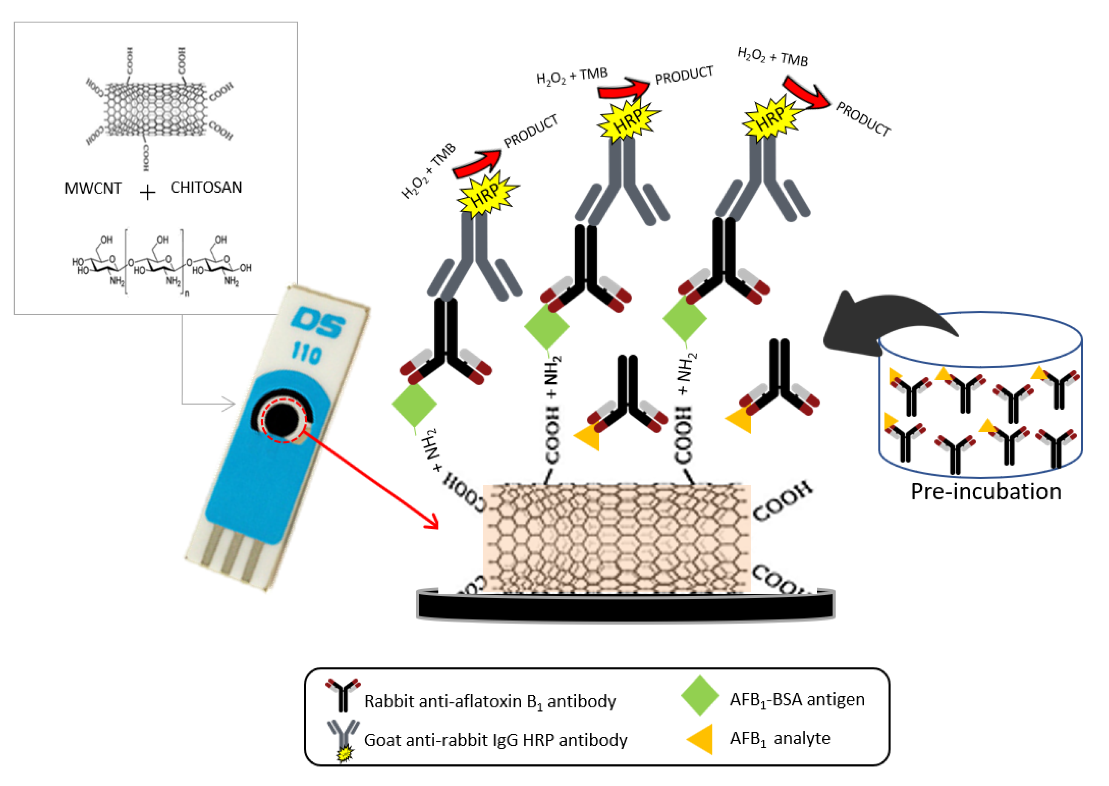 Toxins | Free Full-Text | Electrochemical Immunosensor for Detection of Aflatoxin B1 Based on ...