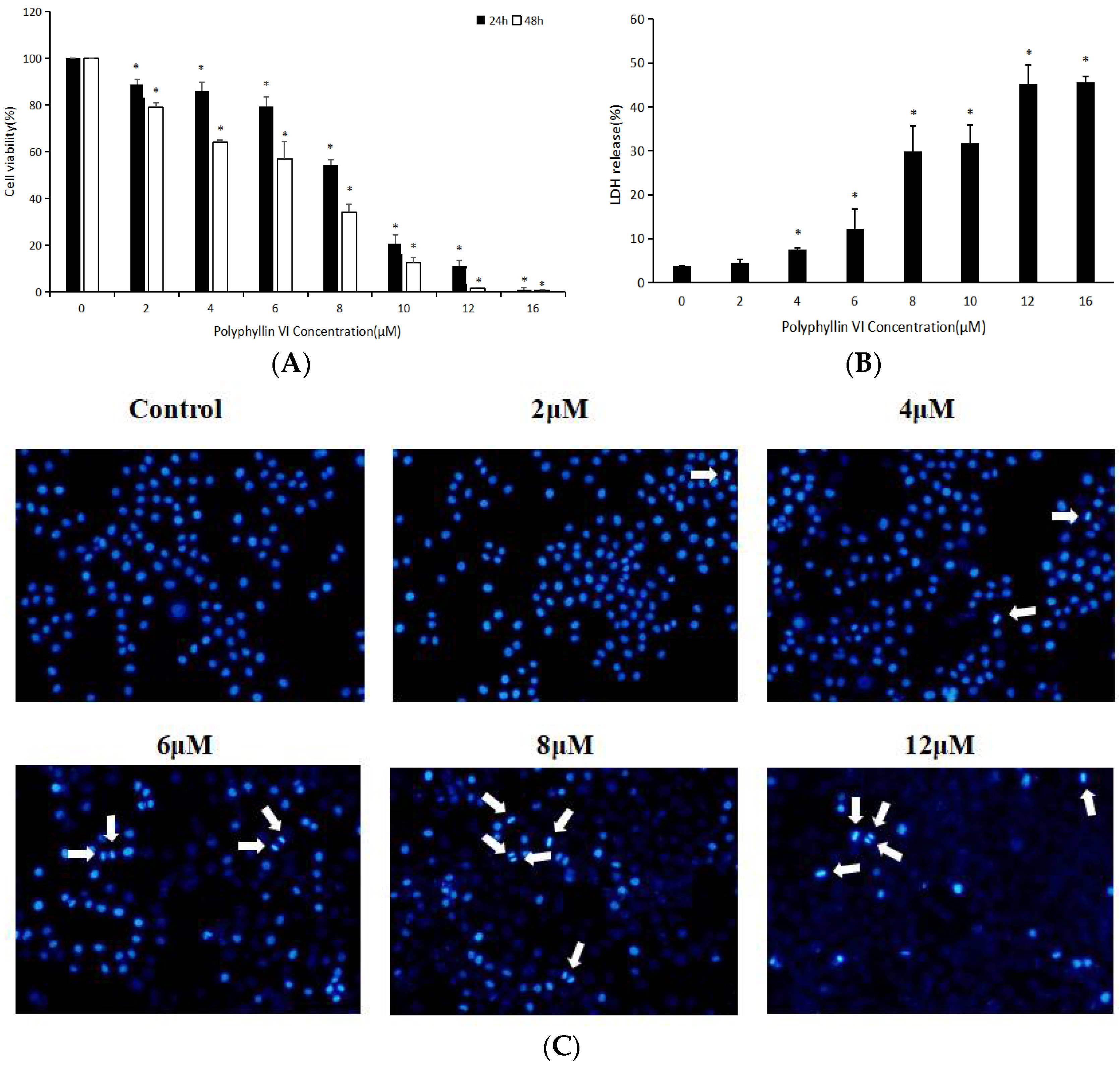 Molecular Mechanisms of Apoptosis in HepaRG Cell Line Induced by ...