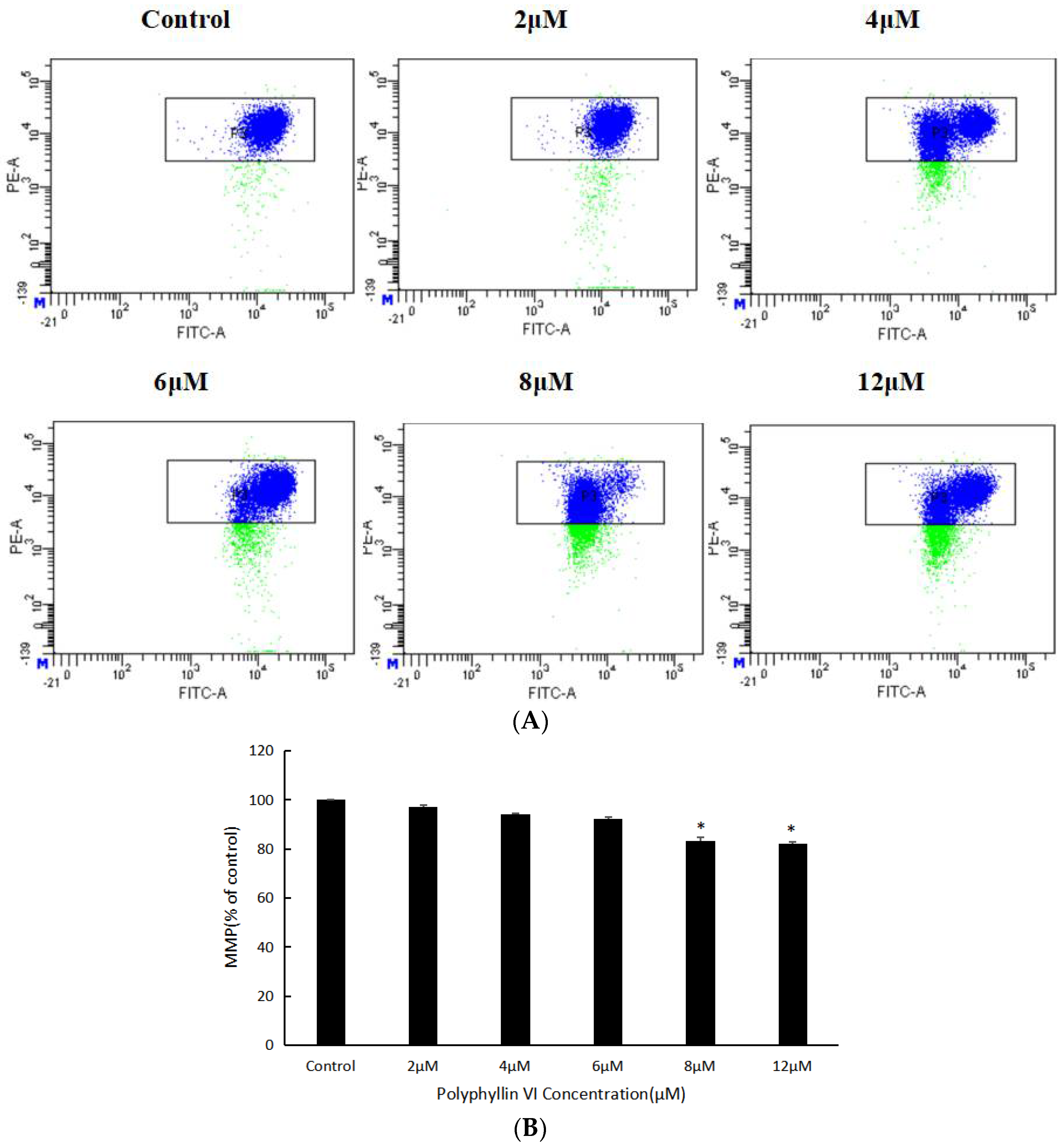 Molecular Mechanisms of Apoptosis in HepaRG Cell Line Induced by ...
