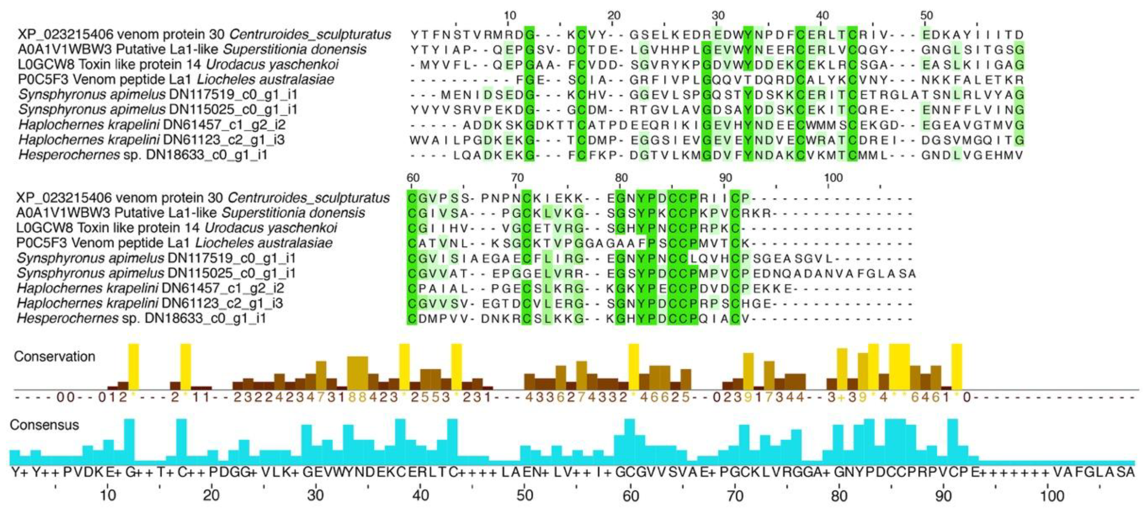 Toxins Free Full Text Transcriptomic Analysis Of Pseudoscorpion