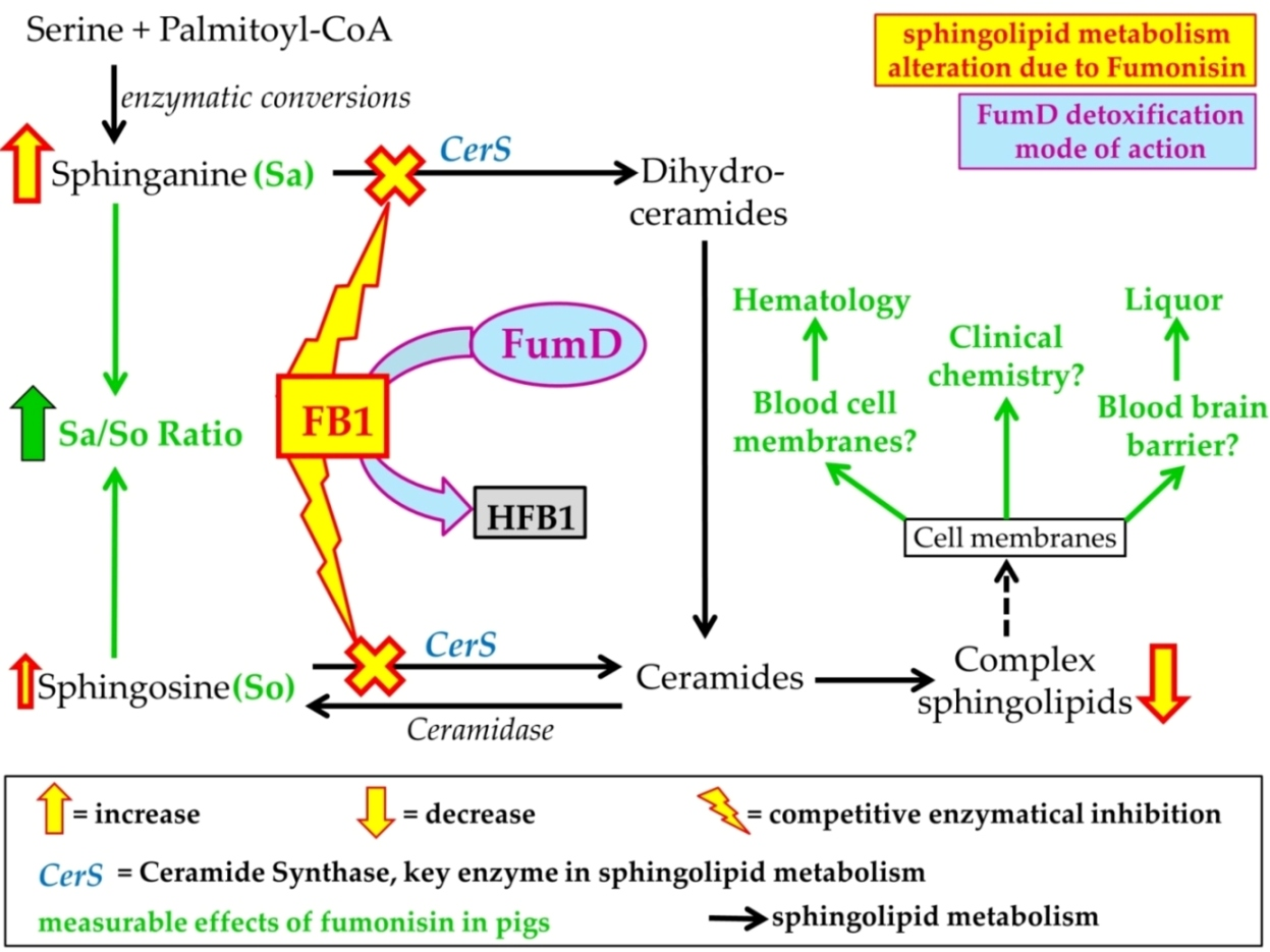 Toxins | Free Full-Text | Biomarker Evaluation and Toxic Effects of an ...