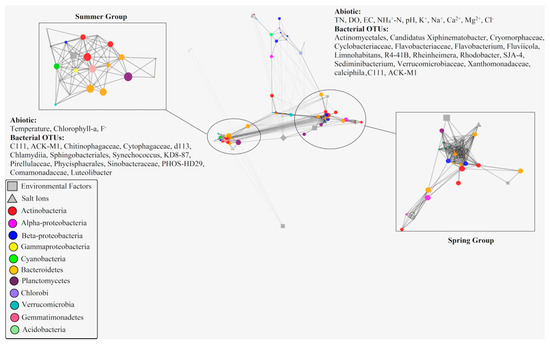 Variations of Bacterial Community Composition and Functions in an ...