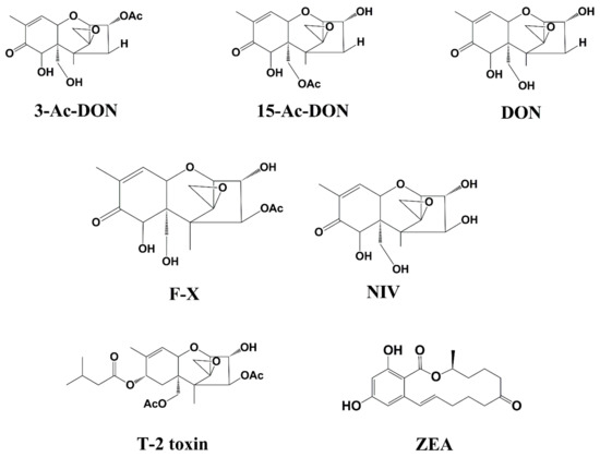 Mycotoxins Contaminant in Kelp: A Neglected Dietary Exposure Pathway