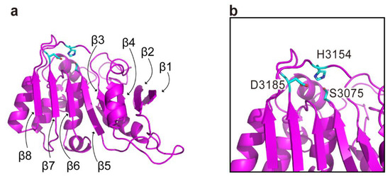 Toxins | Special Issue : Bacterial Toxins: Structure–Function Relationship