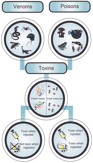 Toxin Neutralization Using Alternative Binding Proteins