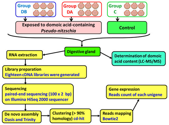 Toxins Free Full Text Rna Seq Transcriptome Profiling Of The Queen