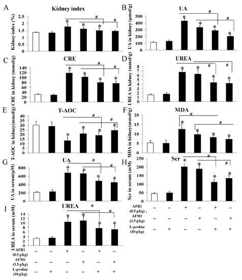 l-Proline Alleviates Kidney Injury Caused by AFB1 and AFM1 through ...
