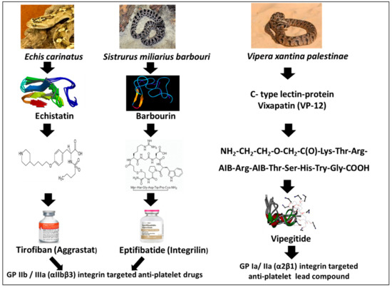 From Snake Venom’s Disintegrins and C-Type Lectins to Anti-Platelet Drugs