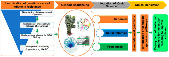 Toxins | Free Full-Text | Mitigating Aflatoxin Contamination in Groundnut through A Combination ...
