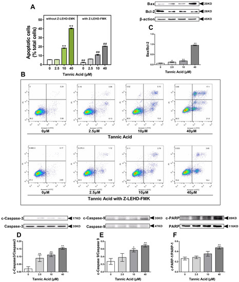 Toxins Free Full Text Tannic Acid Induces The Mitochondrial Pathway
