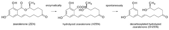 Biotransformation of the Mycotoxin Zearalenone to its Metabolites ...