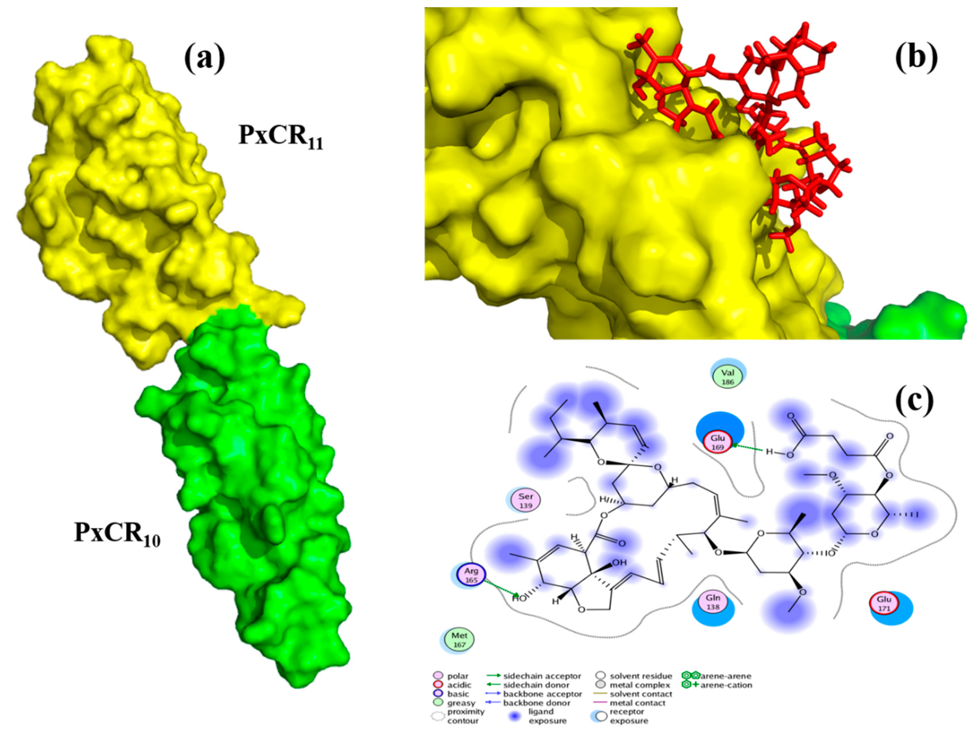 Toxins | Free Full-Text | Synthesis and Characterization of Cry2Ab–AVM ... Toxins | Free Full-Text | Synthesis and Characterization of Cry2Ab–AVM ...