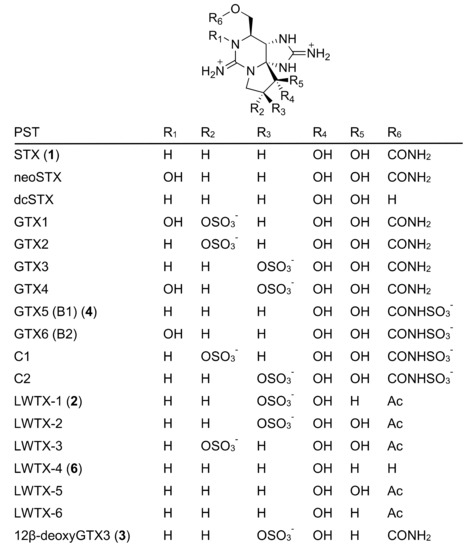 Identification of a Novel Saxitoxin Analogue, 12β-Deoxygonyautoxin 3 ...