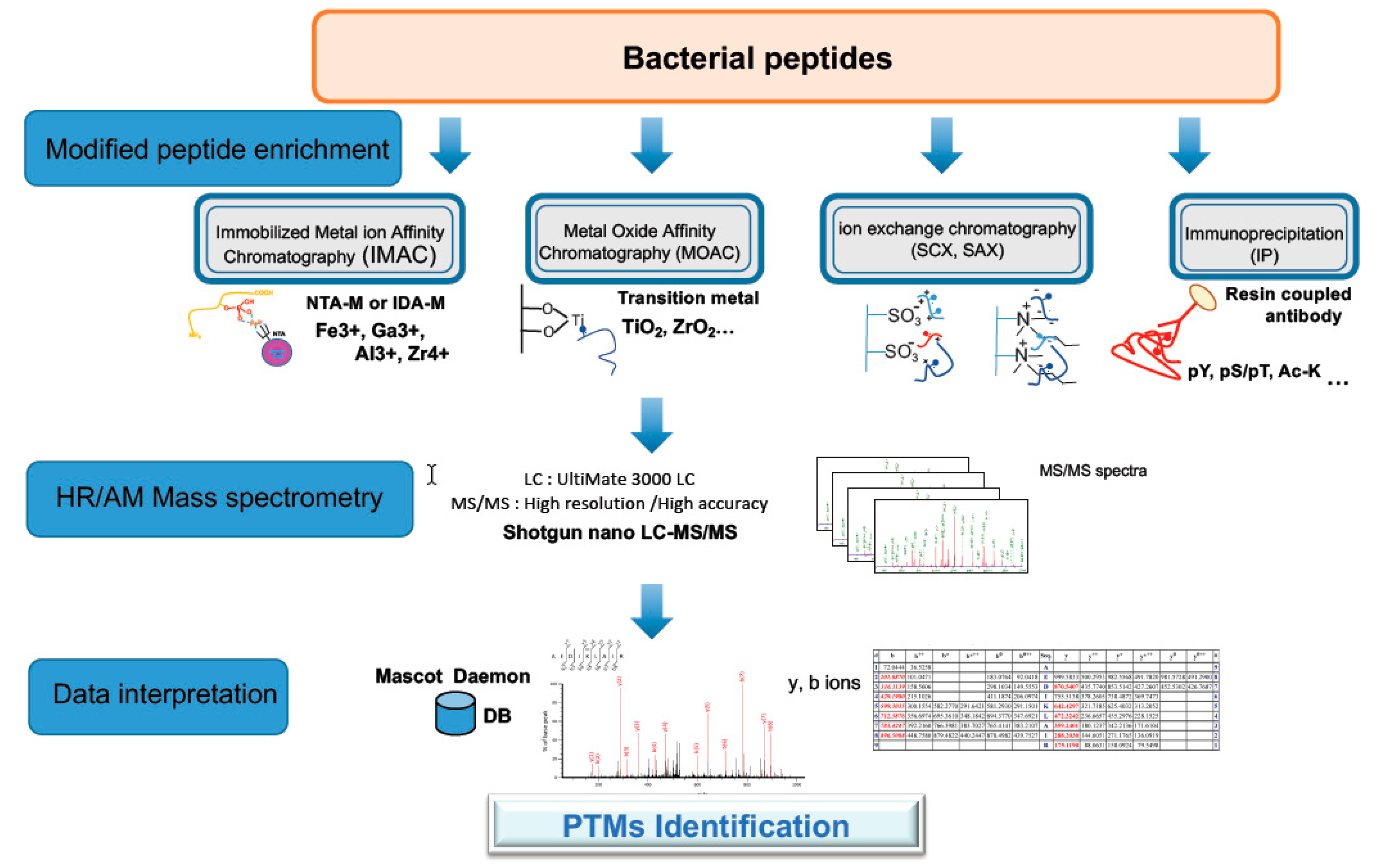 Toxins Free Full Text Advanced Proteomics As A Powerful Tool For