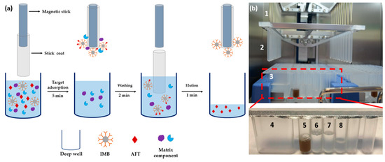 An Automated and High-Throughput Immunoaffinity Magnetic Bead-Based ...