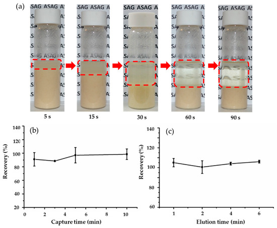 An Automated and High-Throughput Immunoaffinity Magnetic Bead-Based ...