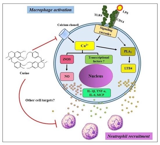 Toxins | Special Issue : Biological Activities of Alkaloids: From ...