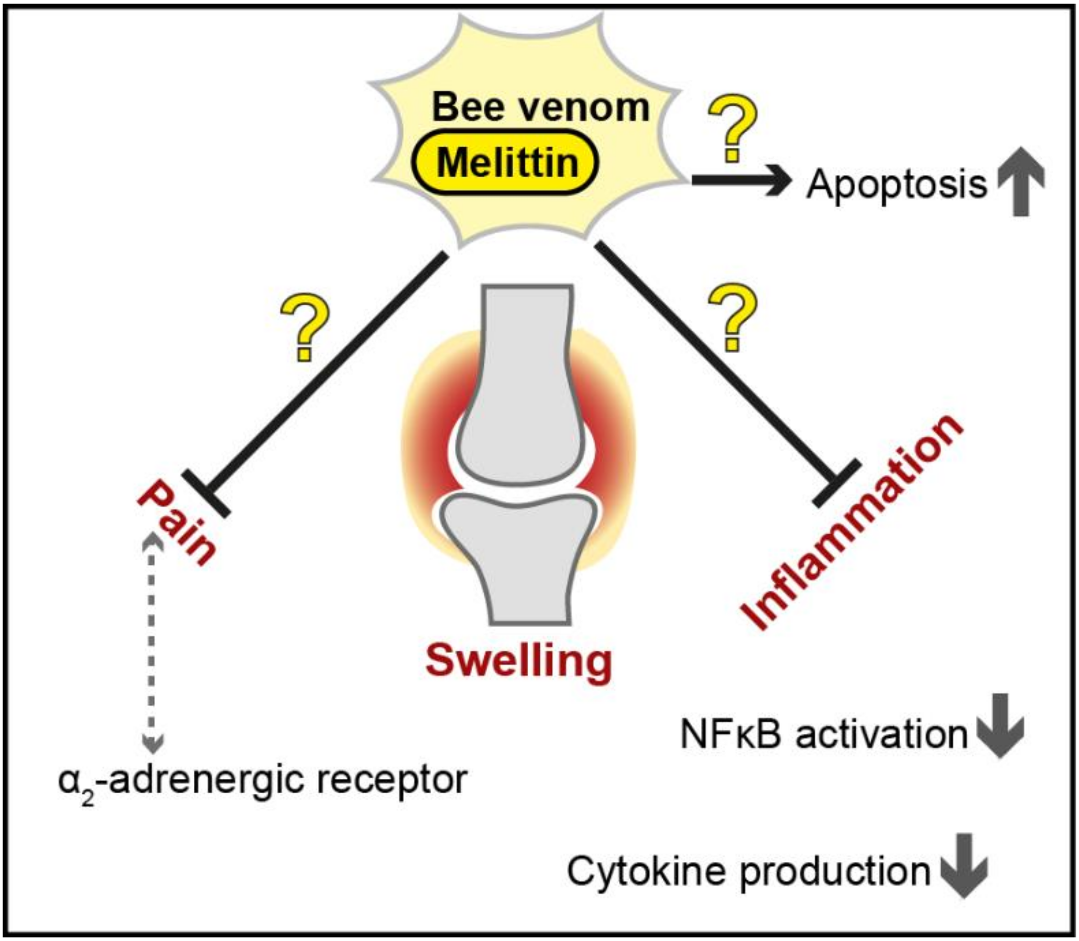 Apitoxin and Its Components against Cancer, Neurodegeneration and ...