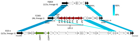 Bacteriocins of Listeria monocytogenes and Their Potential as a ...