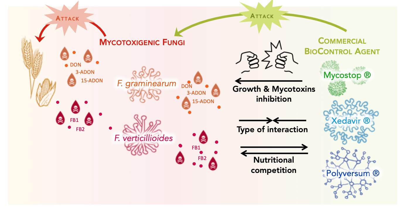Toxins | Free Full-Text | Commercial Biocontrol Agents Reveal ...