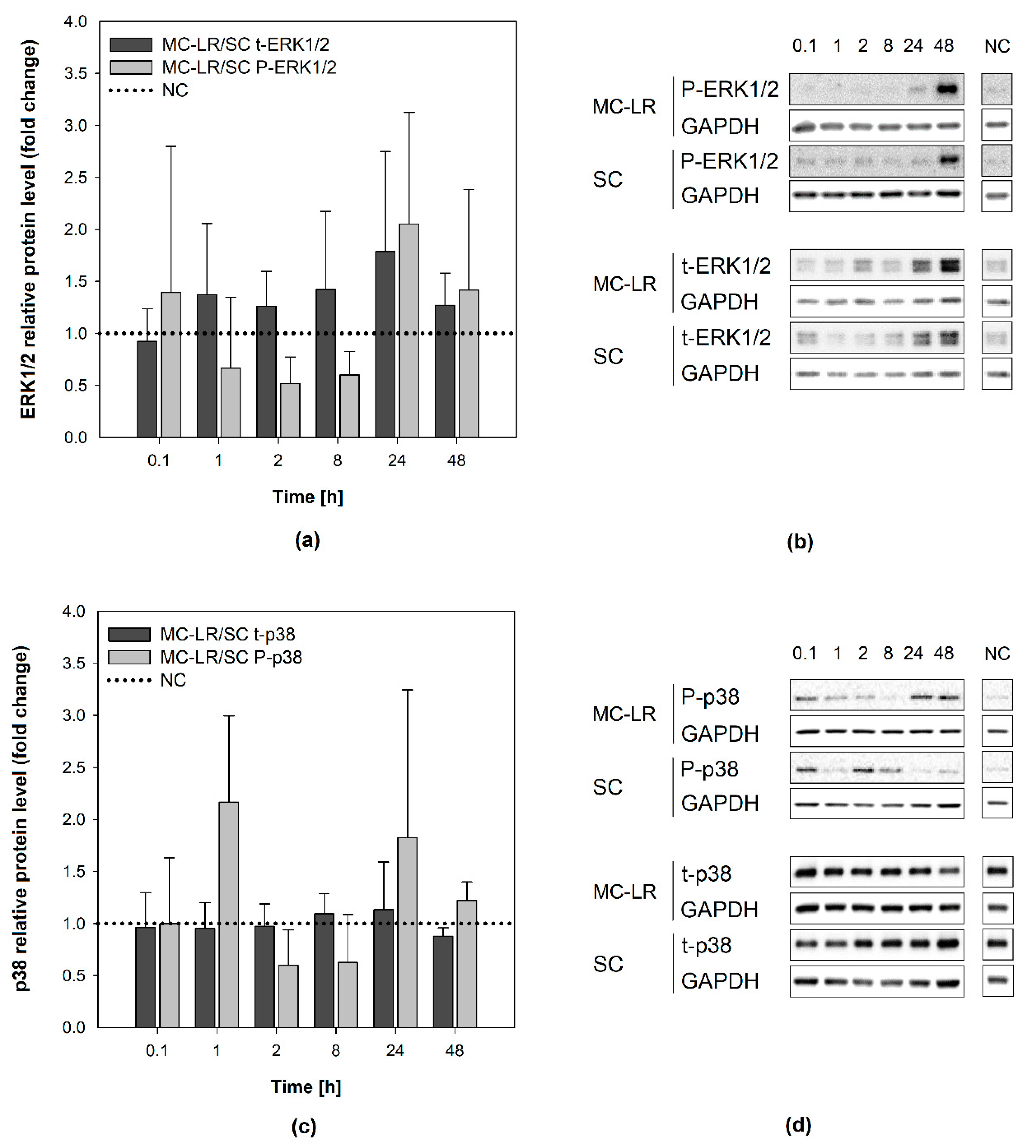 Microcystin-LR Does Not Alter Cell Survival and Intracellular Signaling ...