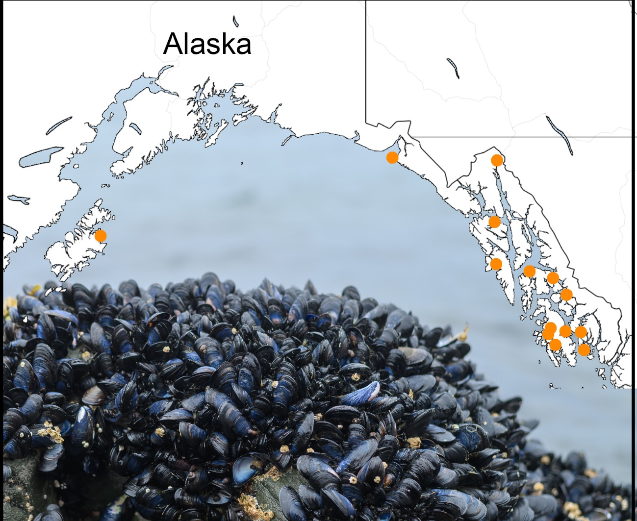 Toxins | Free Full-Text | The Southeast Alaska Tribal Ocean Research ...