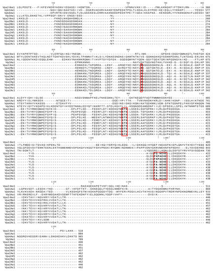 Toxins | Free Full-Text | Baculovirus Expression and Functional ...
