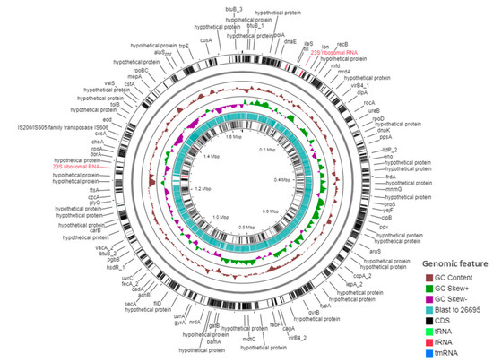 Whole Genome Sequencing Reveals Virulence Potentials of Helicobacter ...