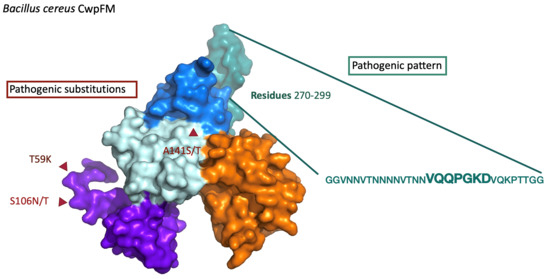 Toxins | Special Issue : Bacillus cereus Toxins