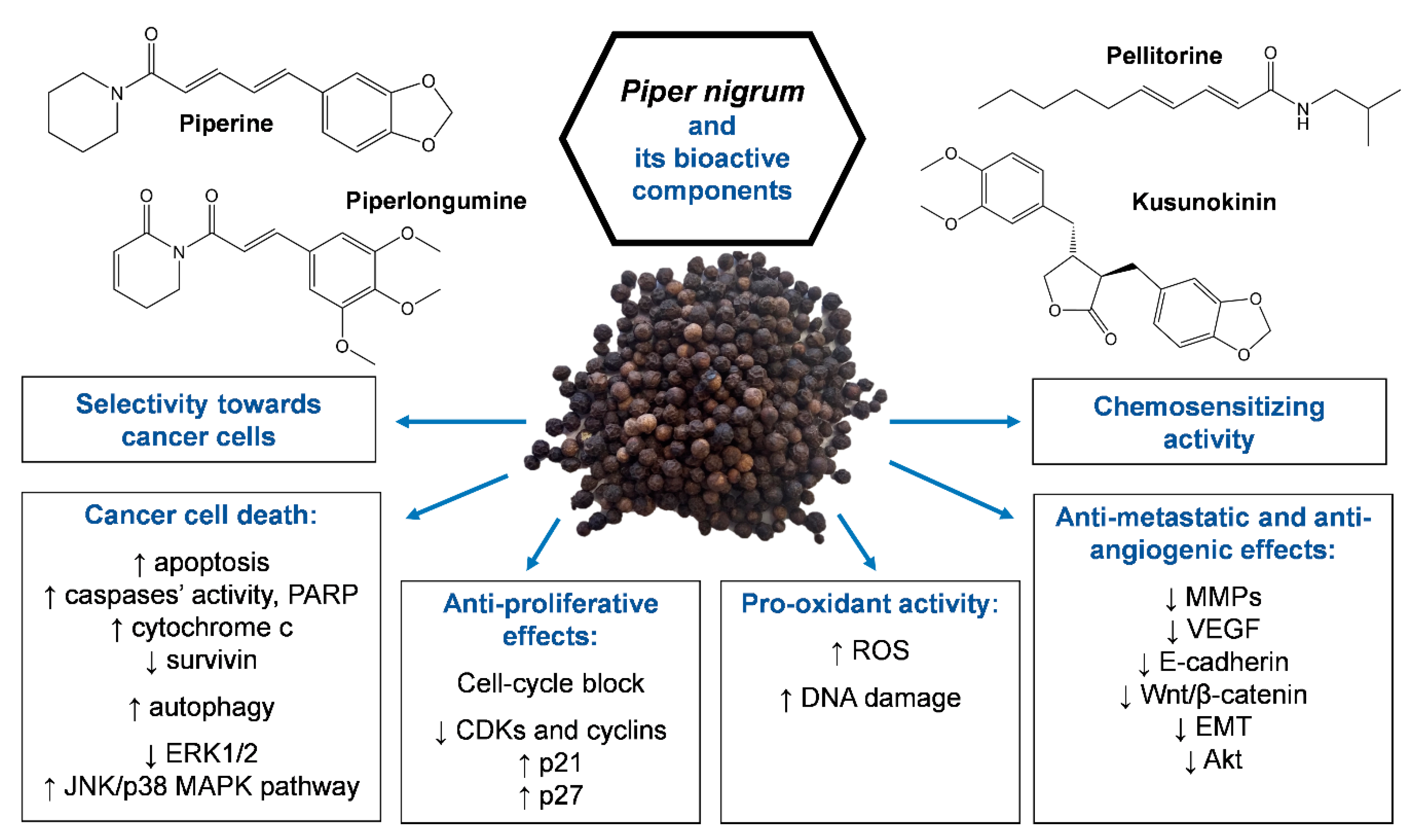Toxins | Free Full-Text | Overview of the Anticancer Potential of the “King of Spices” Piper ...
