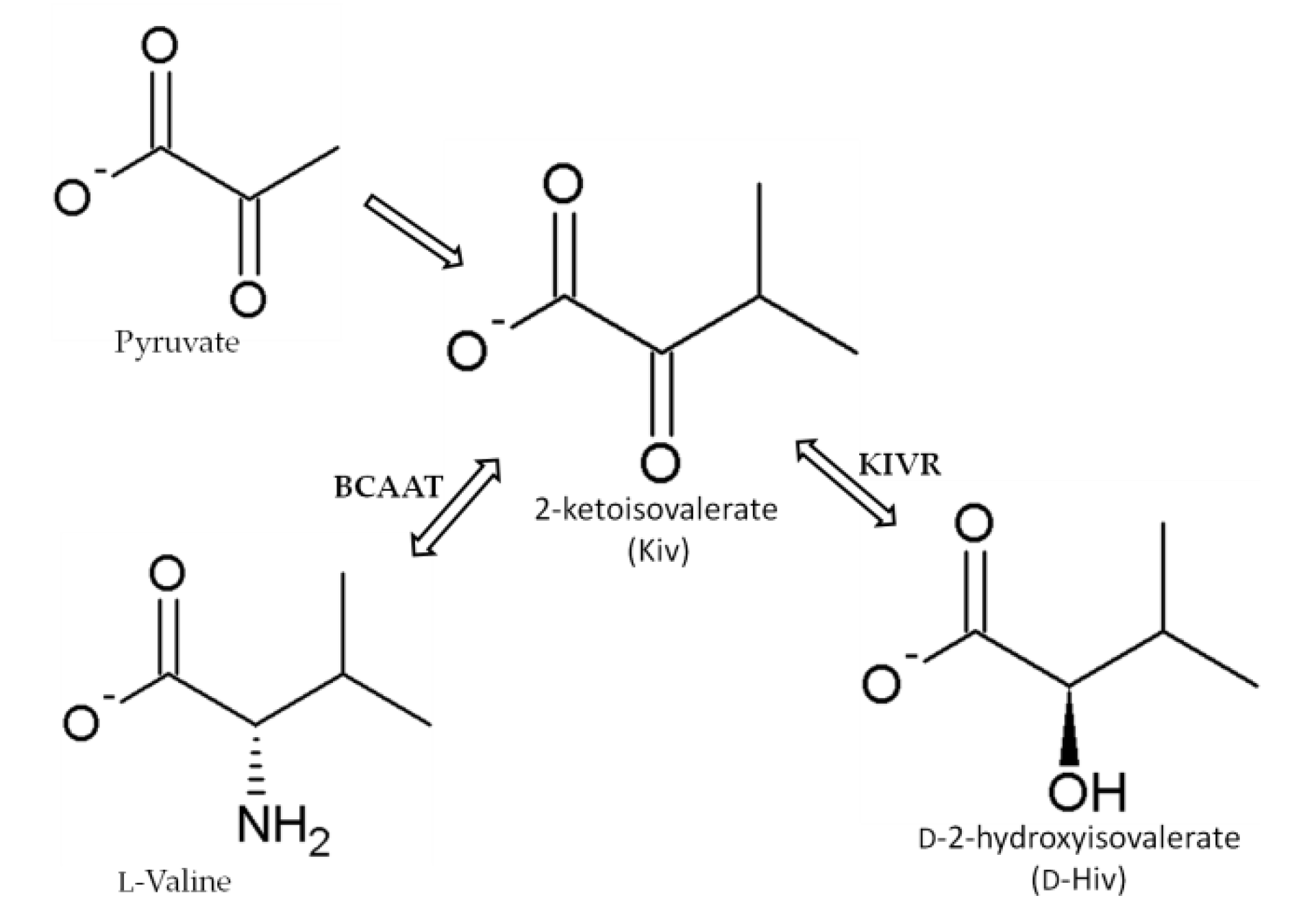 Fusarium Cyclodepsipeptide Mycotoxins: Chemistry, Biosynthesis, and ...