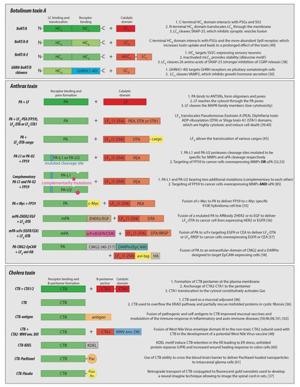 Harnessing the Membrane Translocation Properties of AB Toxins for ...