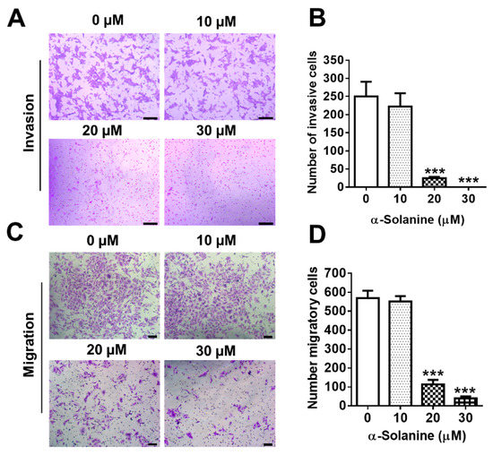 α-Solanine Causes Cellular Dysfunction of Human Trophoblast Cells via ...