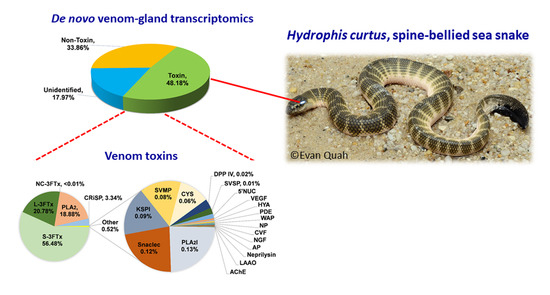 Toxins | Free Full-Text | De Novo Venom-Gland Transcriptomics of Spine ...