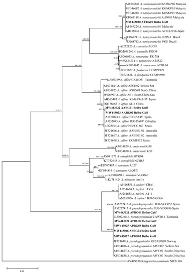 Molecular Identification and Toxin Analysis of Alexandrium spp. in the ...