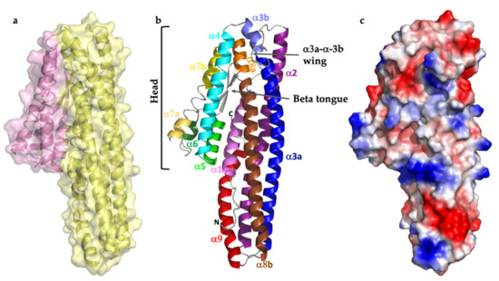 Toxins | Special Issue : Bacillus cereus Toxins