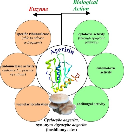 Toxins | Special Issue : Toxic Proteins from Mushrooms: From Defence ...