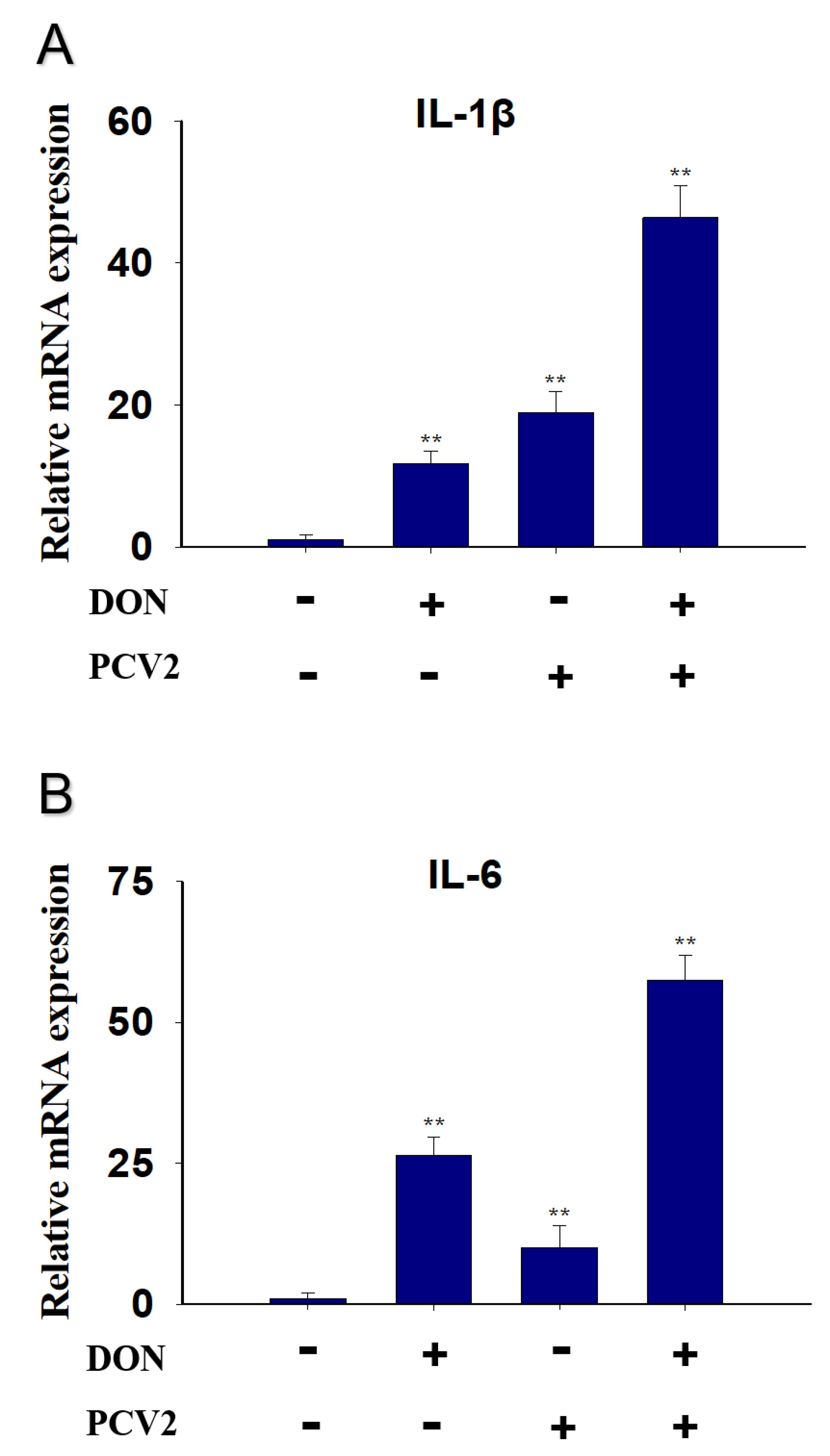 Toxins Free Full Text Combined Effect Of Deoxynivalenol Don And
