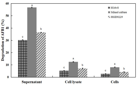 Co-Cultivation of Two Bacillus Strains for Improved Cell Growth and ...