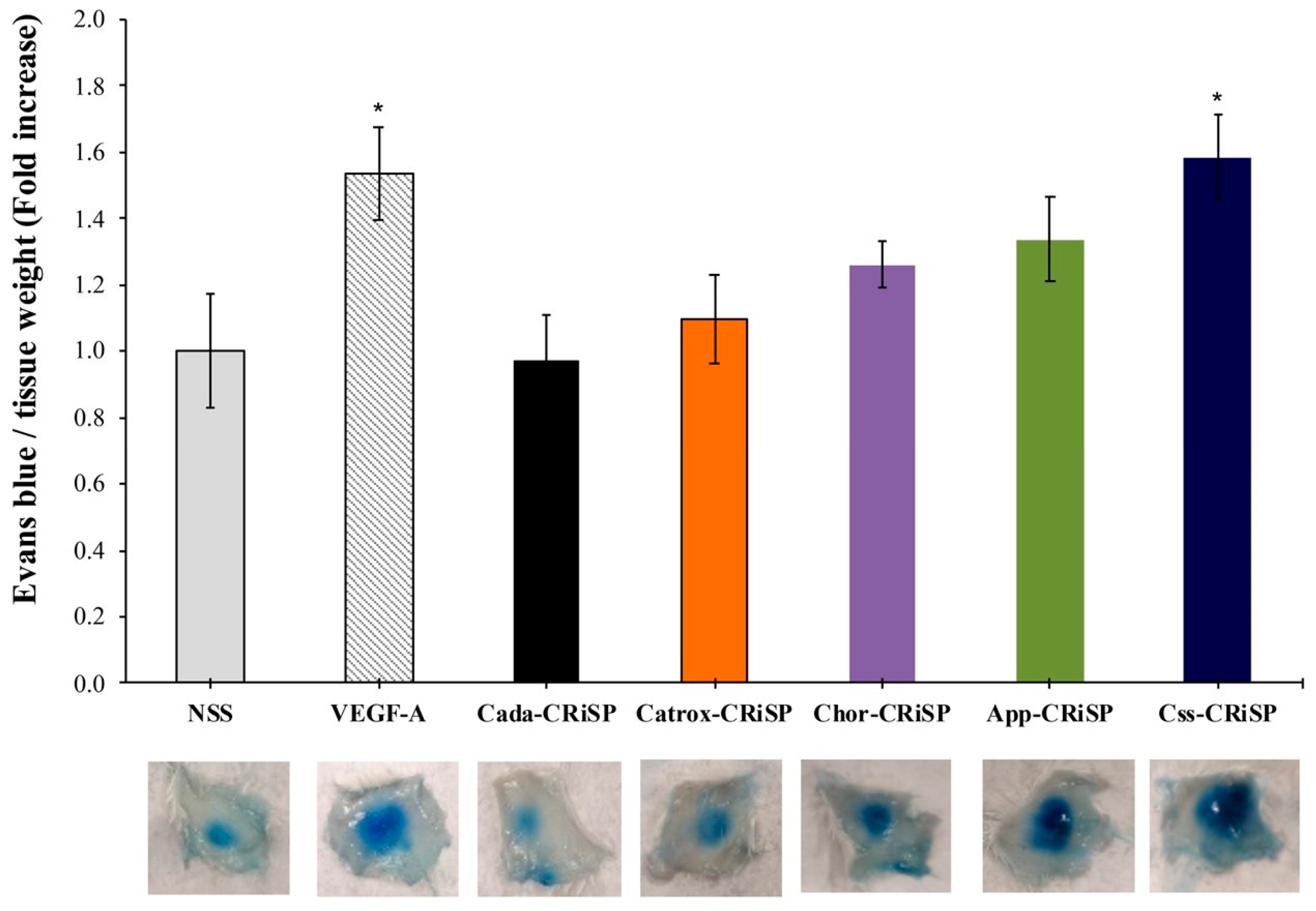 Evaluation of Signaling Pathways Profiling in Human Dermal Endothelial ...