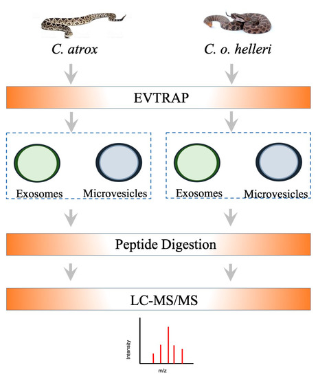 Proteomic Identification and Quantification of Snake Venom Biomarkers ...