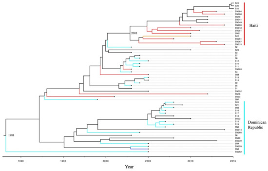 Toxins | Free Full-Text | Identification of Shiga-Toxin-Producing ...