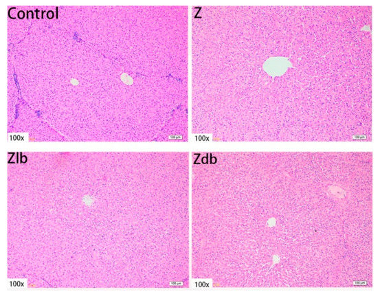 Toxins | Free Full-Text | Effects of Bacillus subtilis ZJ-2019-1 on ...