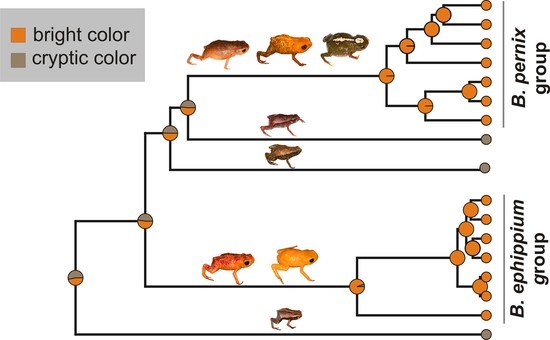 Toxins | Special Issue : Evolution of Venomous and Poisonous Animals