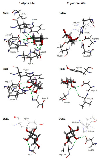 Sequence, Structure, and Binding Site Analysis of Kirkiin in Comparison ...